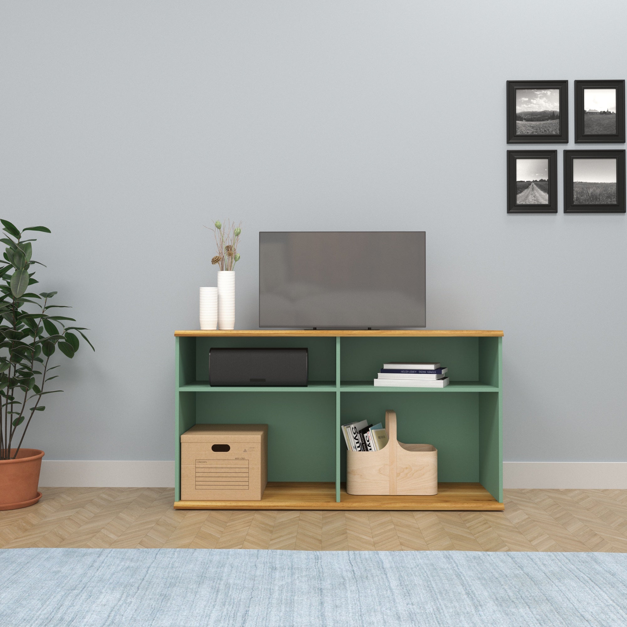 Mint Green Open Shelf TV Unit with Wooden Top and Base